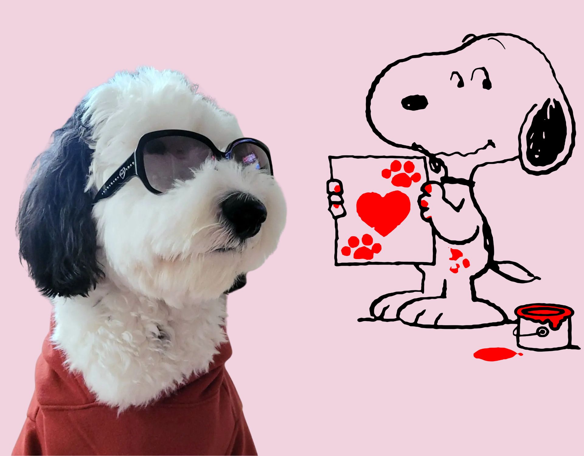 Snoopy-Doppelgänger: Hund Bayley ist ein viraler Hit - wmn.de